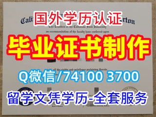 Liverpool Master Degree | PDF