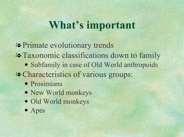 233 what are primates | PPT | Biological Sciences | Science