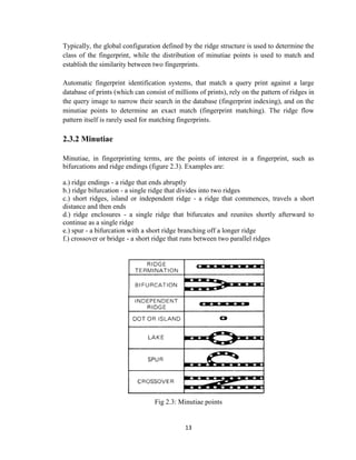 Biometric Fingerprint Recognintion based on Minutiae Matching | PDF