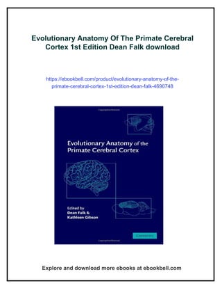Evolutionary Anatomy Of The Primate Cerebral Cortex 1st Edition Dean ...
