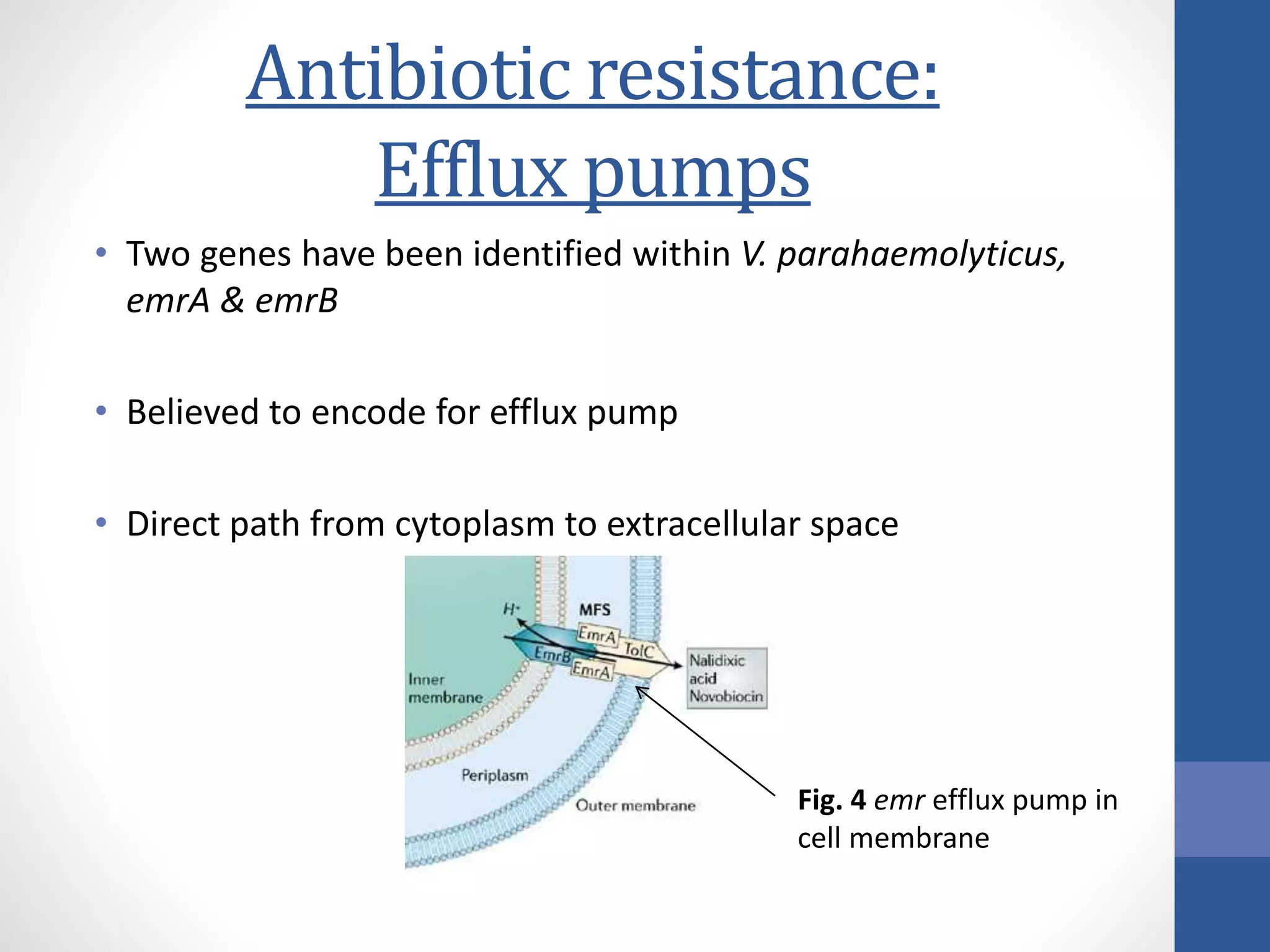 Novel antibiotic resistance proteins presentation | PPTX | Biotech and ...