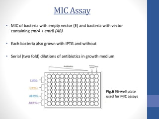 Novel antibiotic resistance proteins presentation | PPTX | Biotech and ...