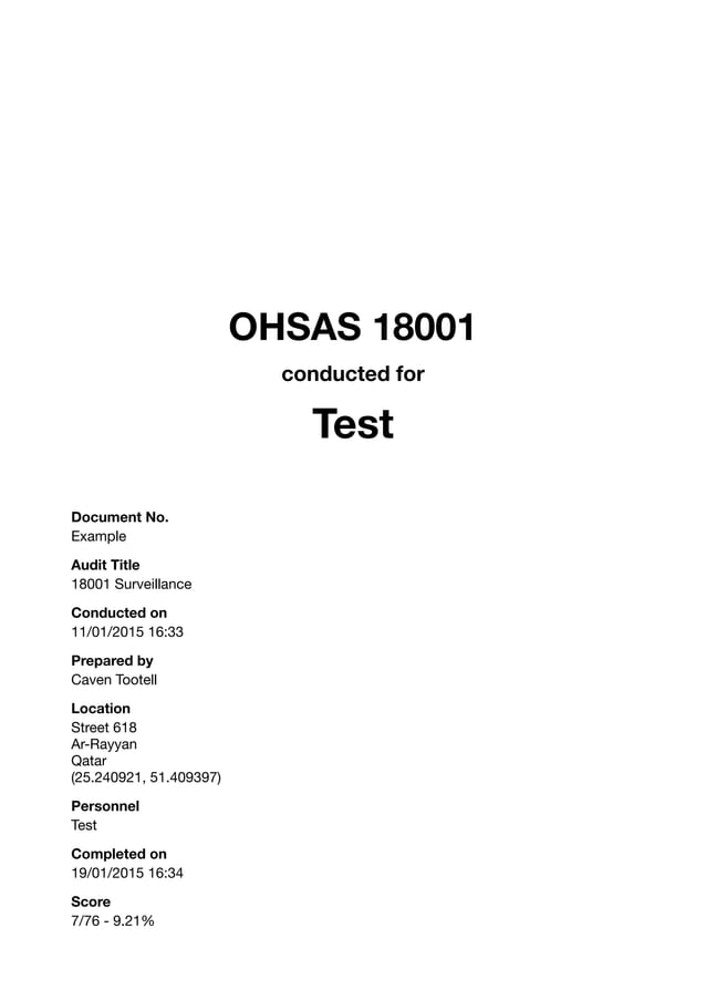 IAuditor Example | PDF | Business | Business and Finance