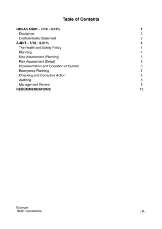 IAuditor Example | PDF | Business | Business and Finance