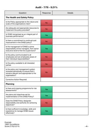 IAuditor Example | PDF