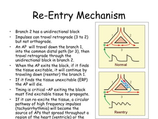 antiarrhythmics | PPT | Heart and Cardiovascular Diseases | Diseases ...