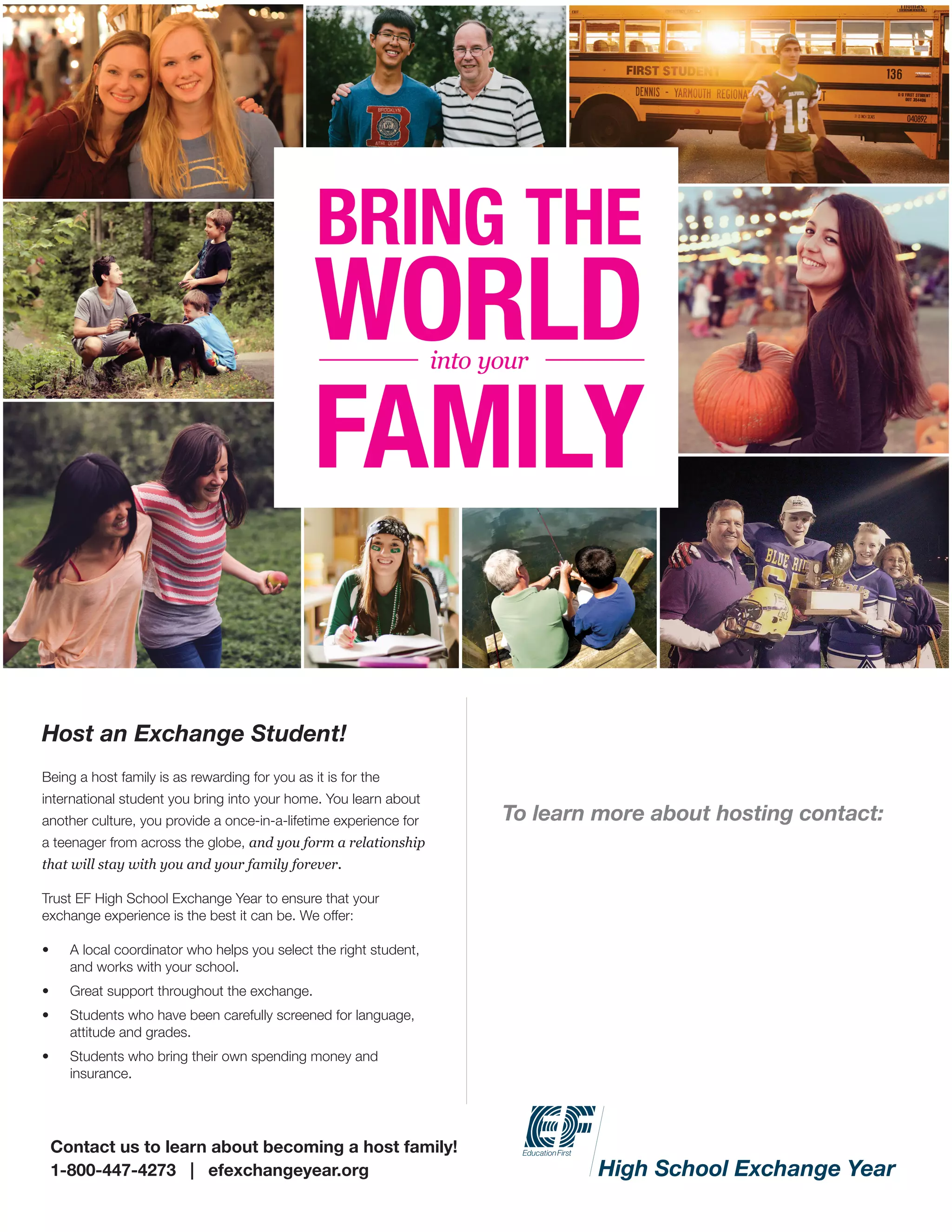 EF Exchange Year | PDF
