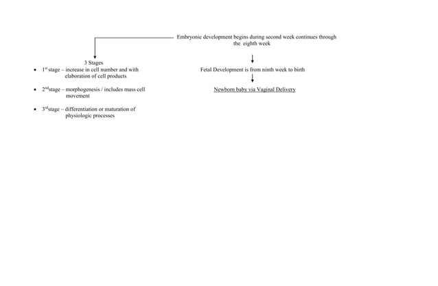 235gedws89394-Pathophysiology-of-Nsvd.doc