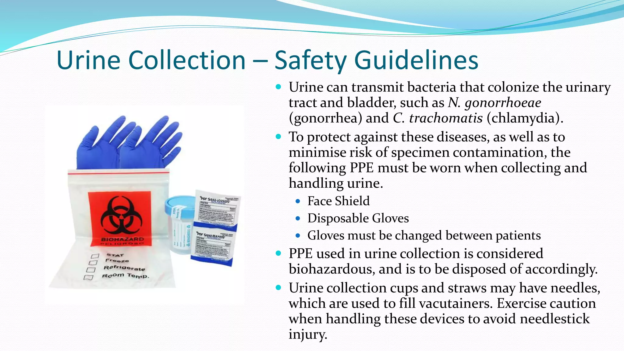 Specimen Collection (updated) | PPTX