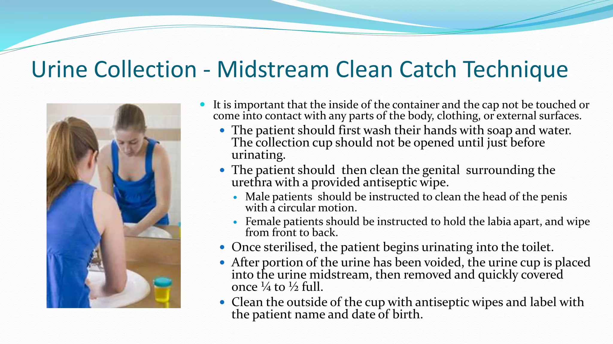 Specimen Collection (updated) | PPTX