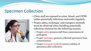 Specimen Collection (updated) | PPT