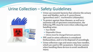 Specimen Collection (updated) | PPTX