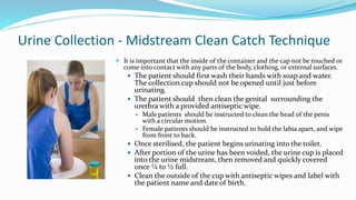 Specimen Collection (updated) | PPTX