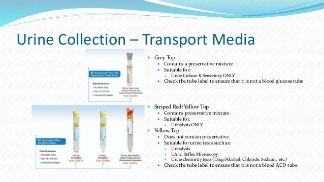 Specimen Collection (updated)