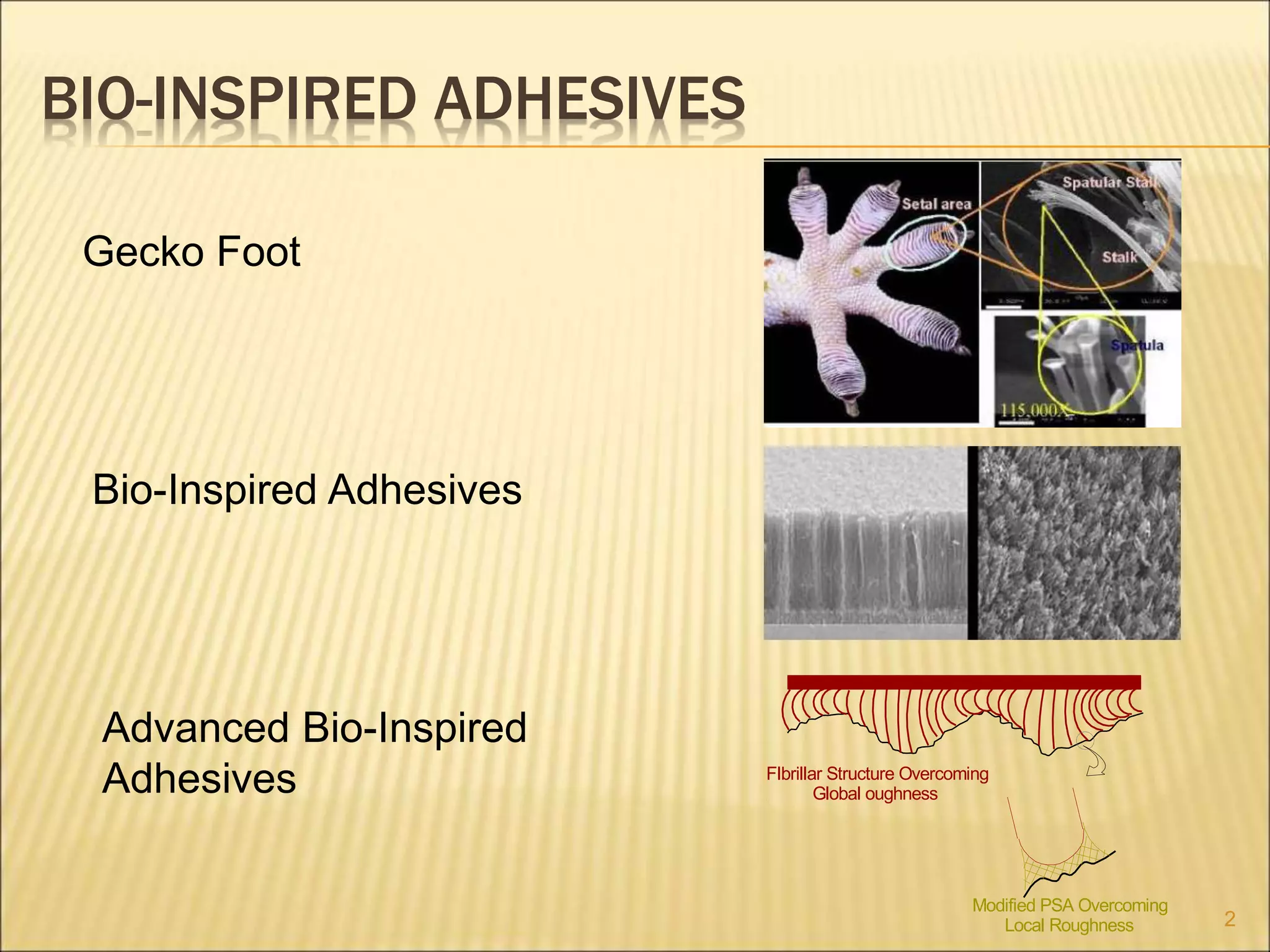 23 6 14 Bio Inspired Adhesives PS.ppt