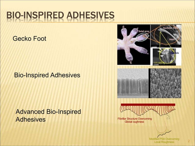 23 6 14 Bio Inspired Adhesives PS.ppt