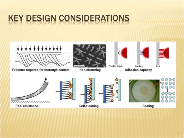 23 6 14 Bio Inspired Adhesives PS.ppt