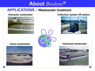 bdwrld_info_general-1 | PPT