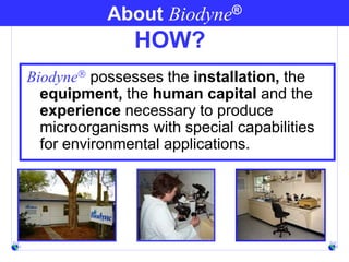 bdwrld_info_general-1 | PPT