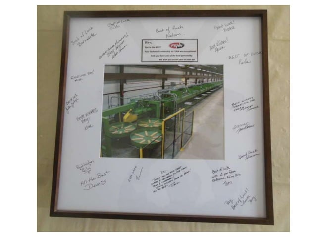 Ray Amin - Professional Achievements | PPTX