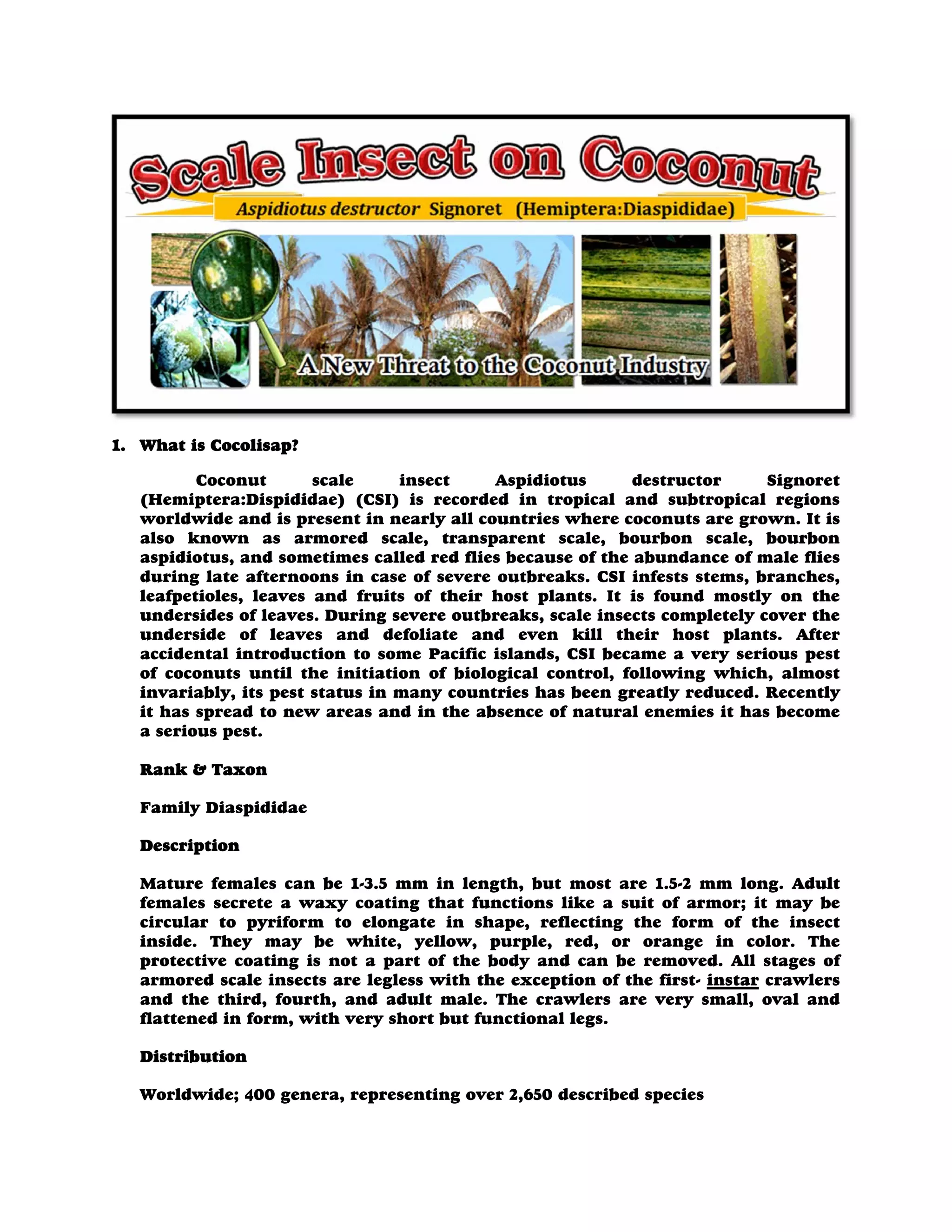 236784980 what-is-cocolisap | PDF