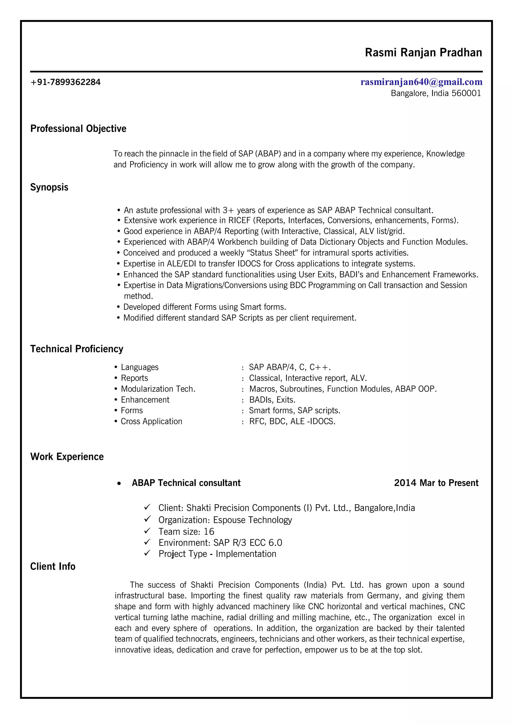 RESUME_RASMI3.6 | PDF