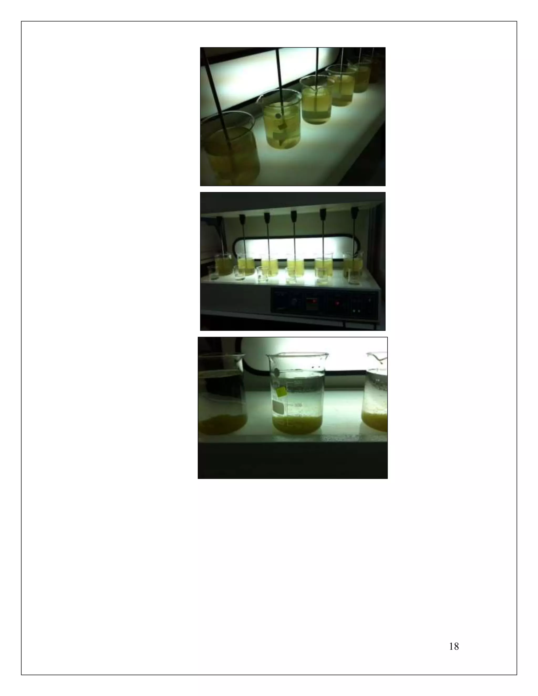 237015090-jar-test-lab-report-doc.doc