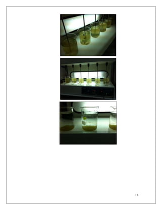 237015090-jar-test-lab-report-doc.doc