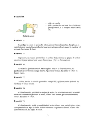 237250258 61741186-programul-williams-alte-ex-pt-lombar | PDF