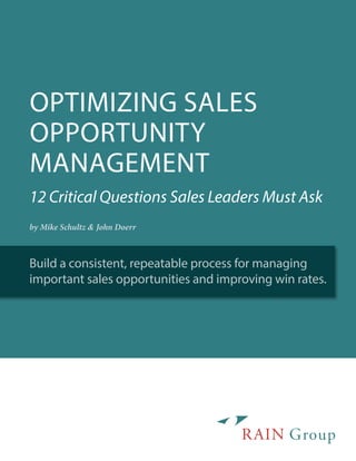Optimizing Sales Opportunity Management-3 | PDF