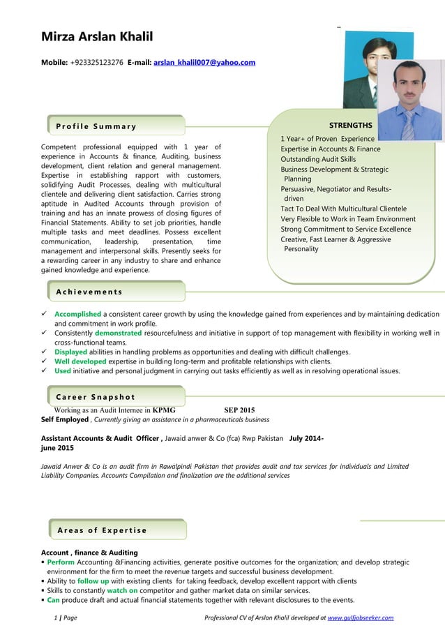 Mirza arslan CV | PDF
