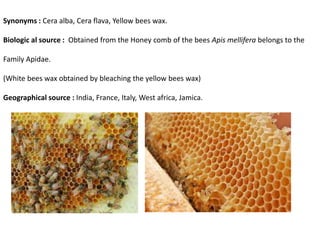 Pharmacognosy of Crude drugs | PPTX