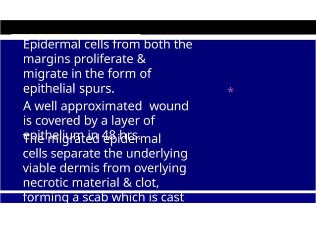 Wound healing process stages 238123310.pptx