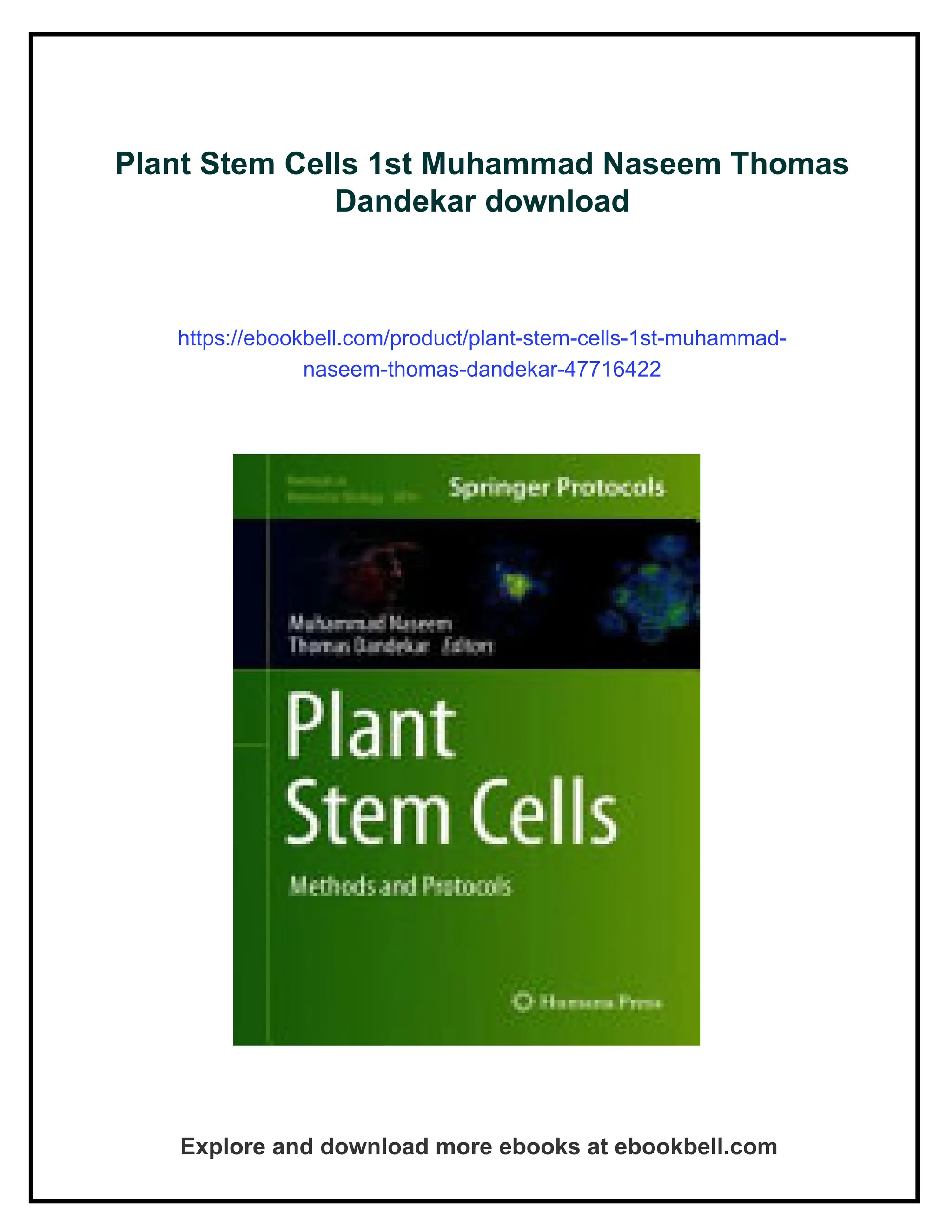 Plant Stem Cells 1st Muhammad Naseem Thomas Dandekar | PDF