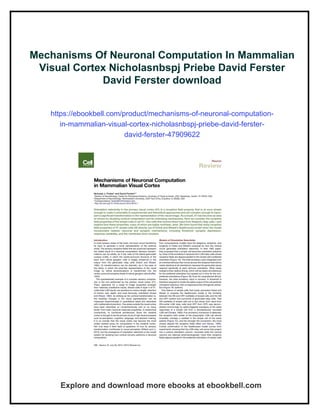 Mechanisms Of Neuronal Computation In Mammalian Visual Cortex Nicholasnbspj Priebe David Ferster ...