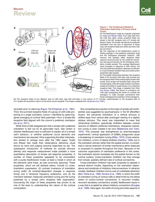 Mechanisms Of Neuronal Computation In Mammalian Visual Cortex ...