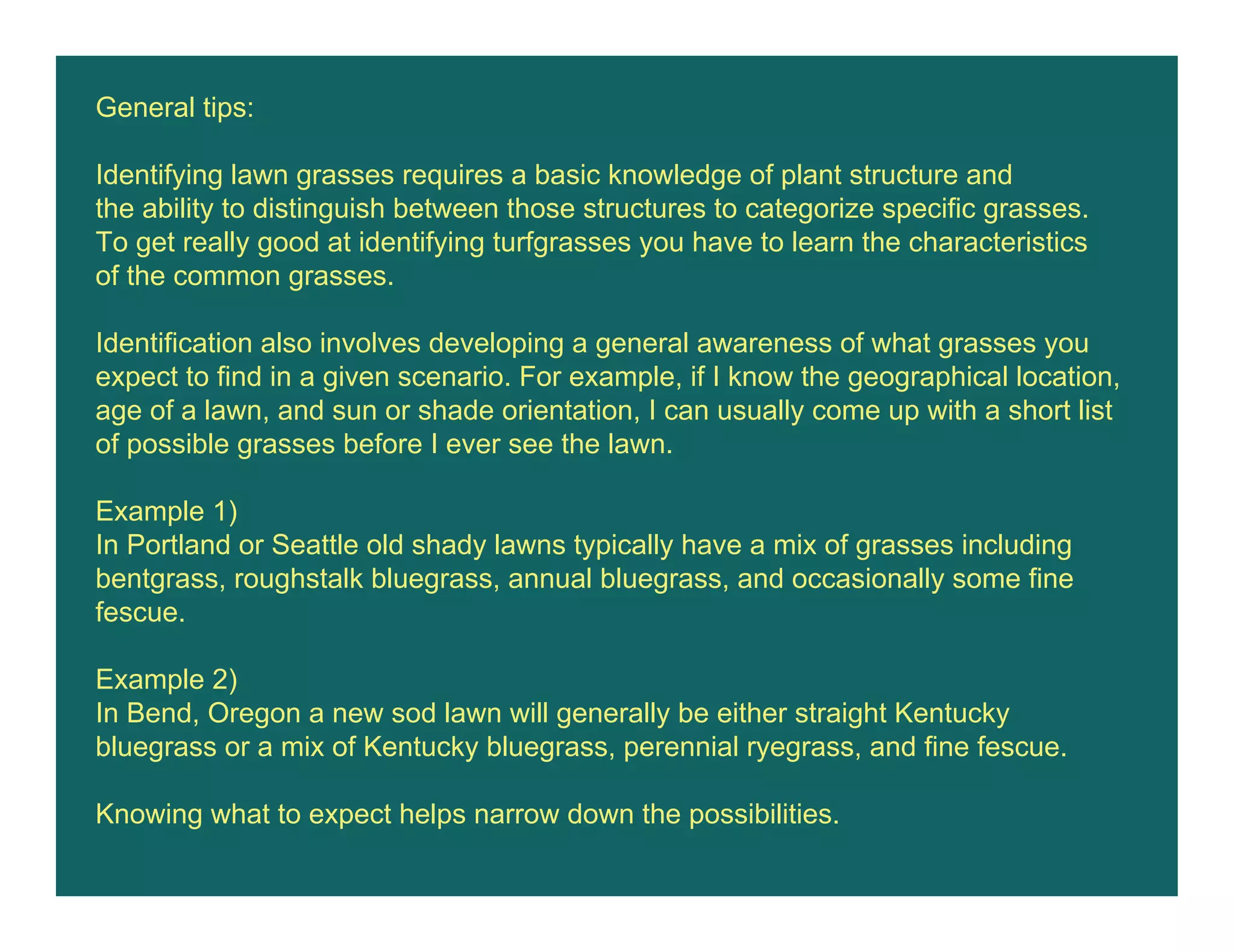 Vegetative Identification of Common Turfgrasses in the Pacific ...