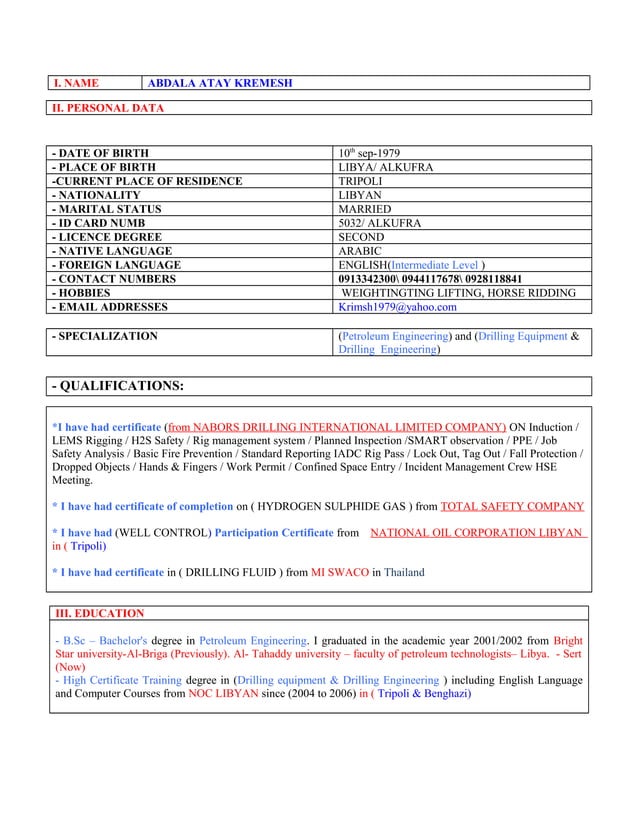 My New CV 2015 | DOC