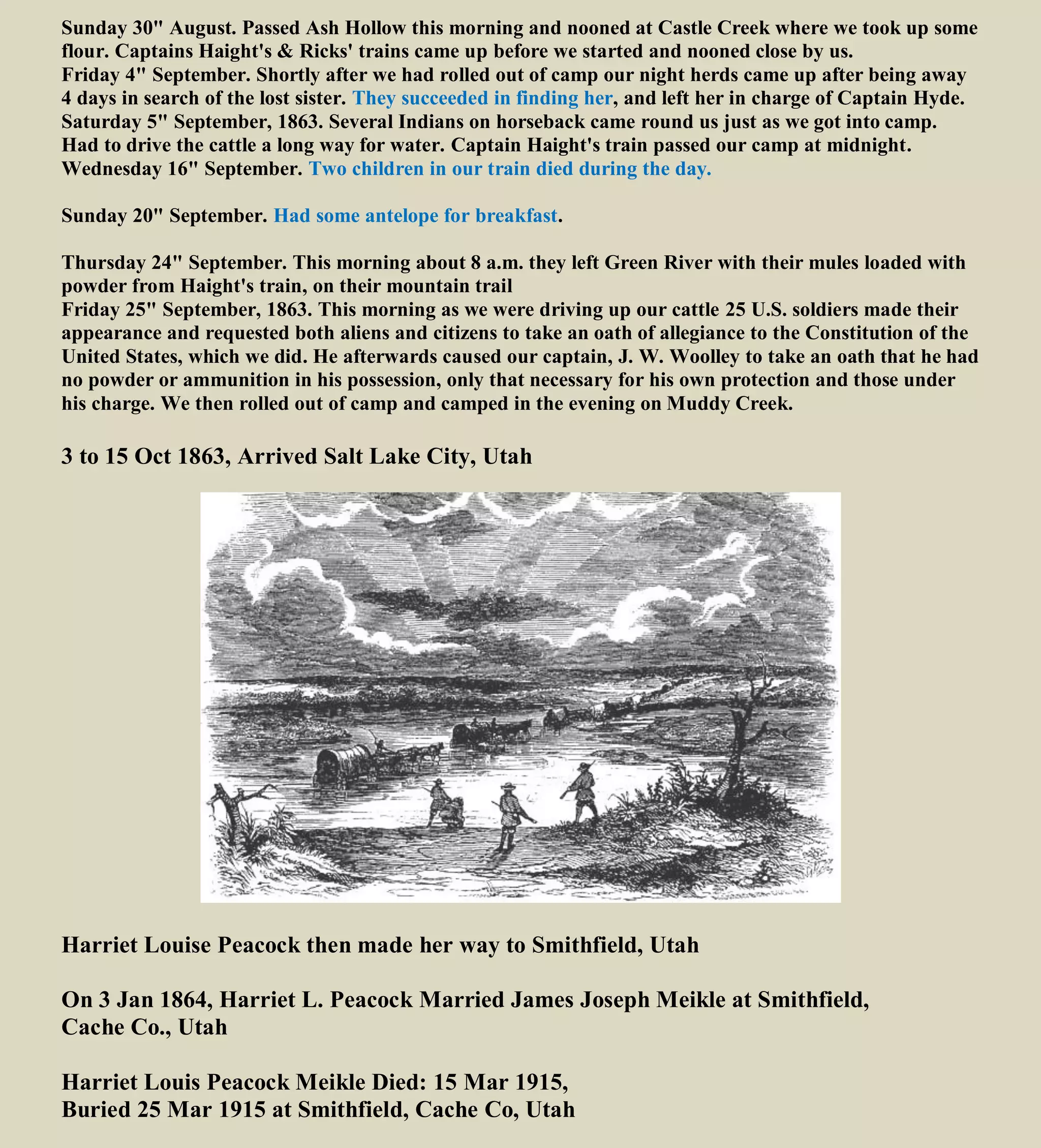 Harriet L Peacock Meikle | PDF