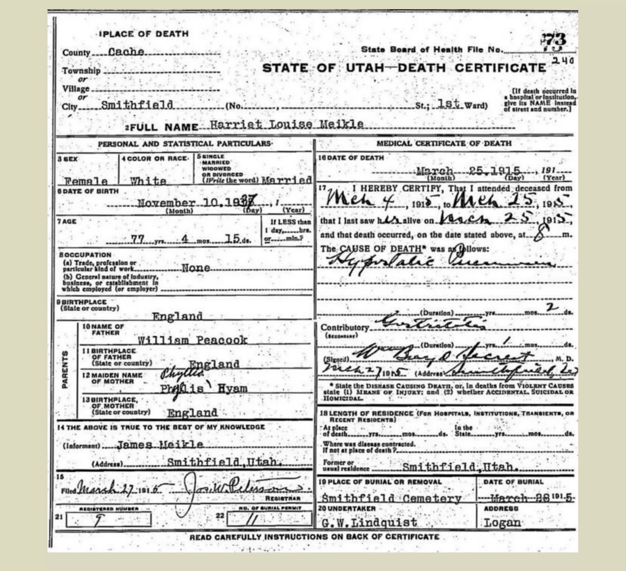 Harriet L Peacock Meikle | PDF