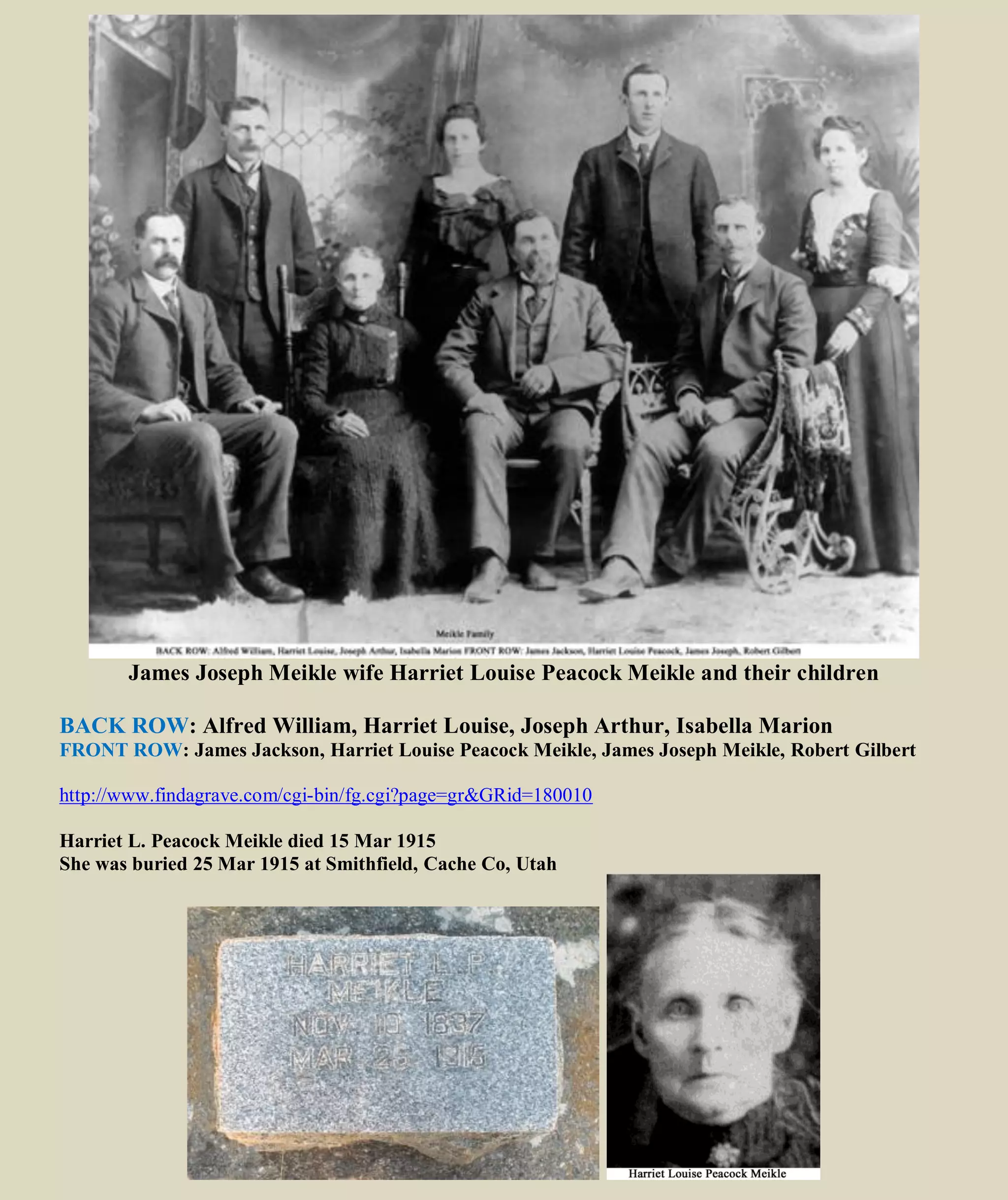 Harriet L Peacock Meikle | PDF