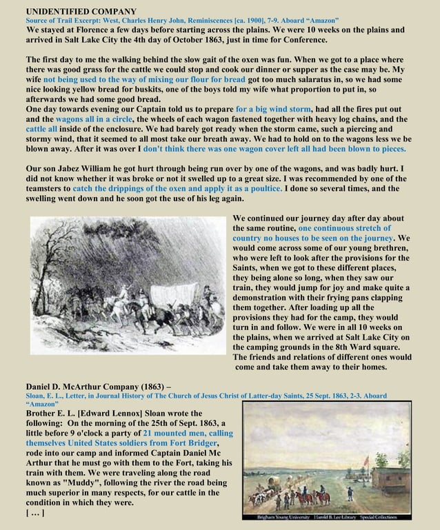 Harriet L Peacock Meikle | PDF