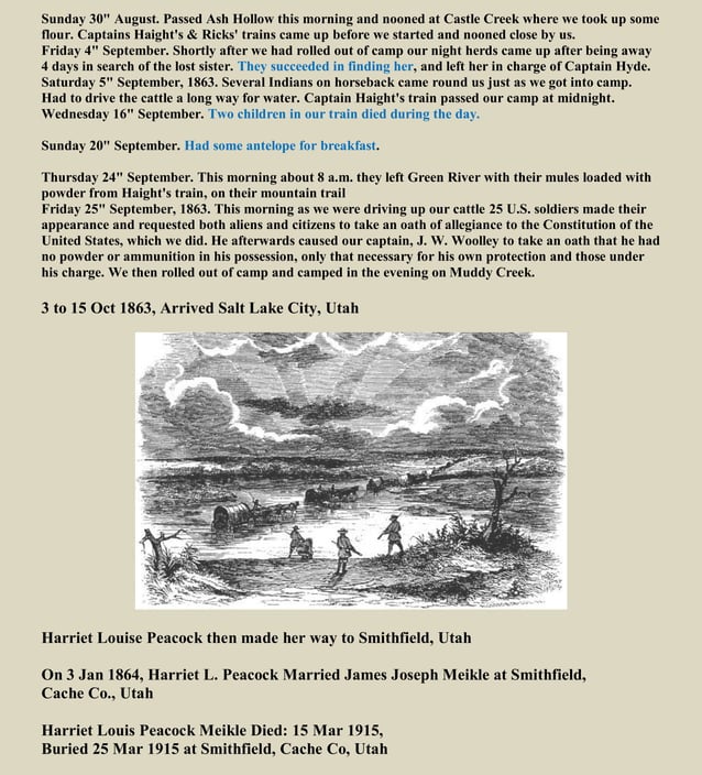 Harriet L Peacock Meikle | PDF