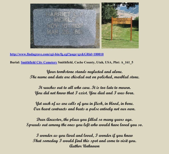 Harriet L Peacock Meikle | PDF