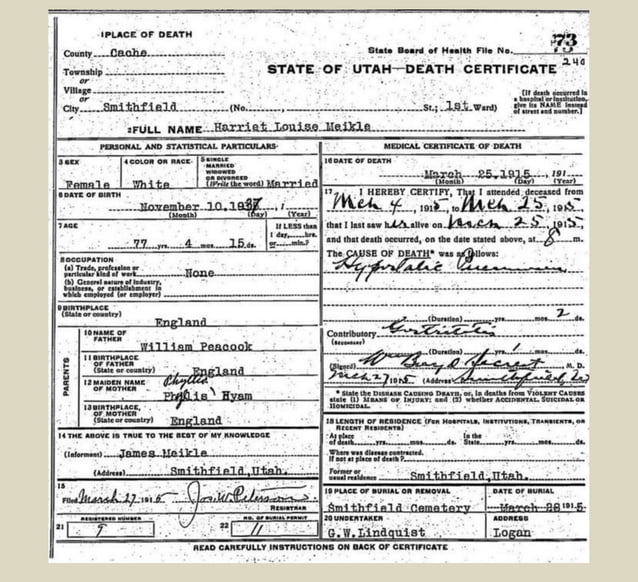 Harriet L Peacock Meikle | PDF