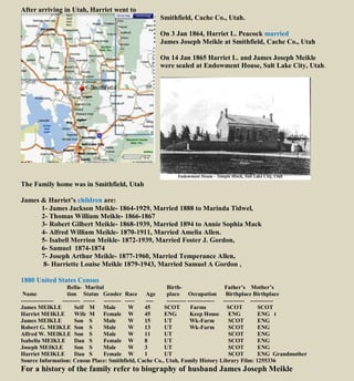 Harriet L Peacock Meikle | PDF