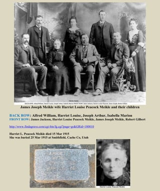 Harriet L Peacock Meikle | PDF