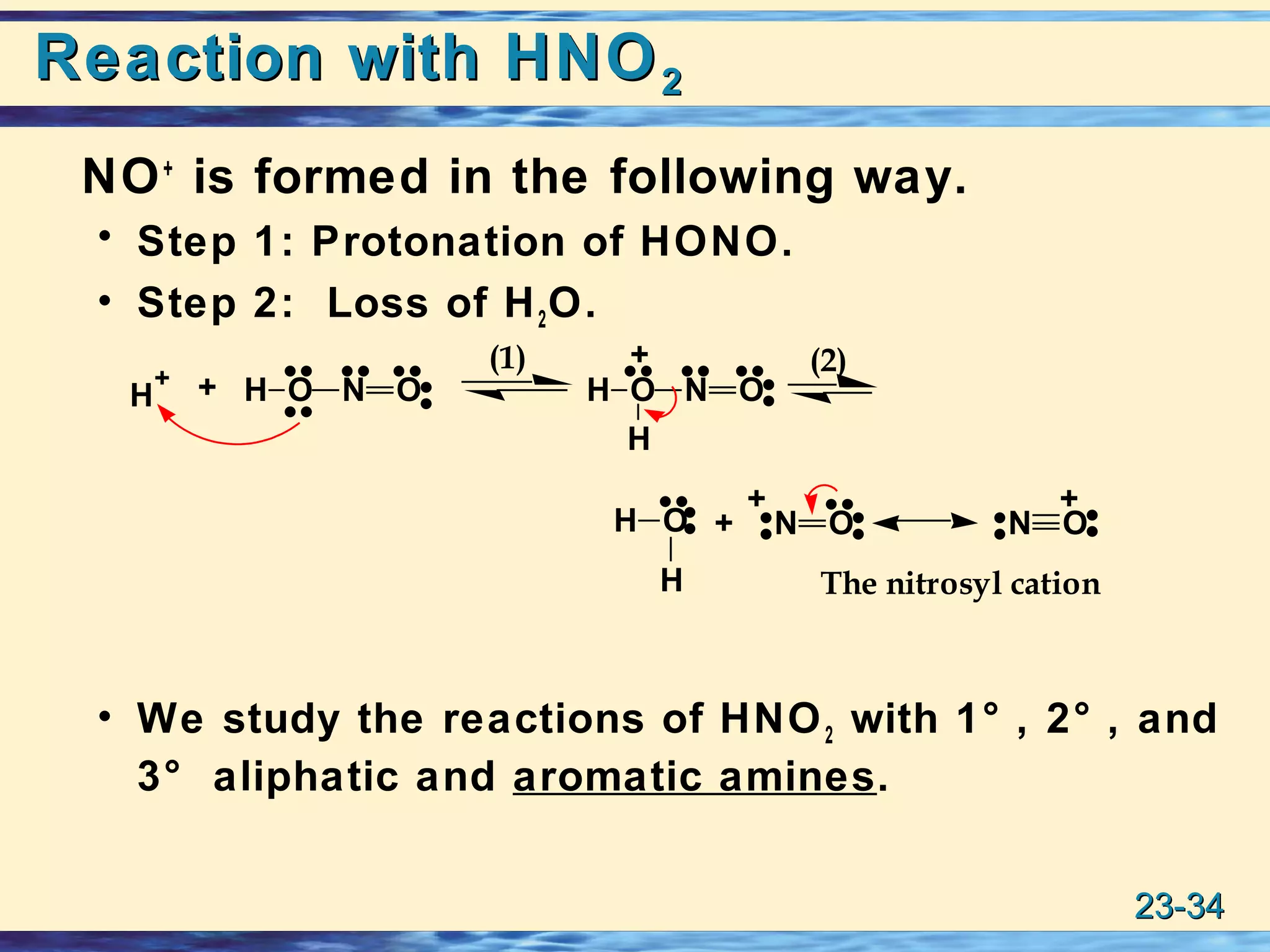 amines | PPT