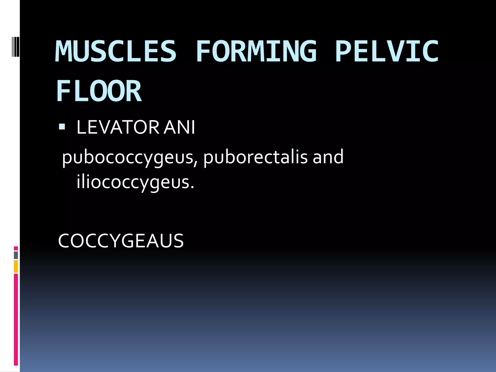 JUNCTIONAL ZONES OF TORSO TRAUMA | PPTX