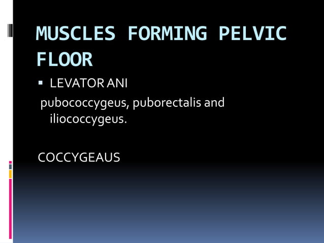 JUNCTIONAL ZONES OF TORSO TRAUMA | PPT